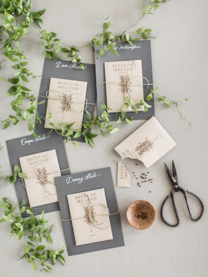 Stacy + Kyle :: Rhiannon Bosse :: Wedding Planner