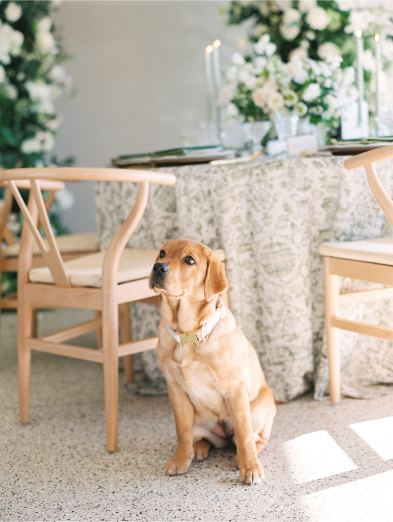 The RBC Home Garage Studio & 2023 Team Day :: Rhiannon Bosse