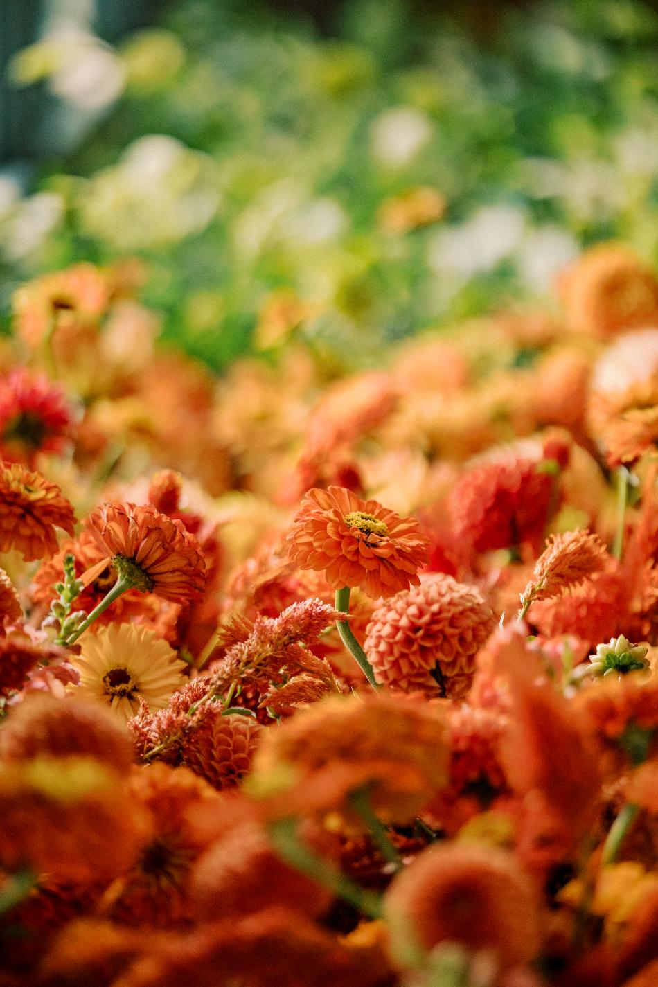 Certified American Grown Flowers Field to Vase Dinner Michigan 2024 ...
