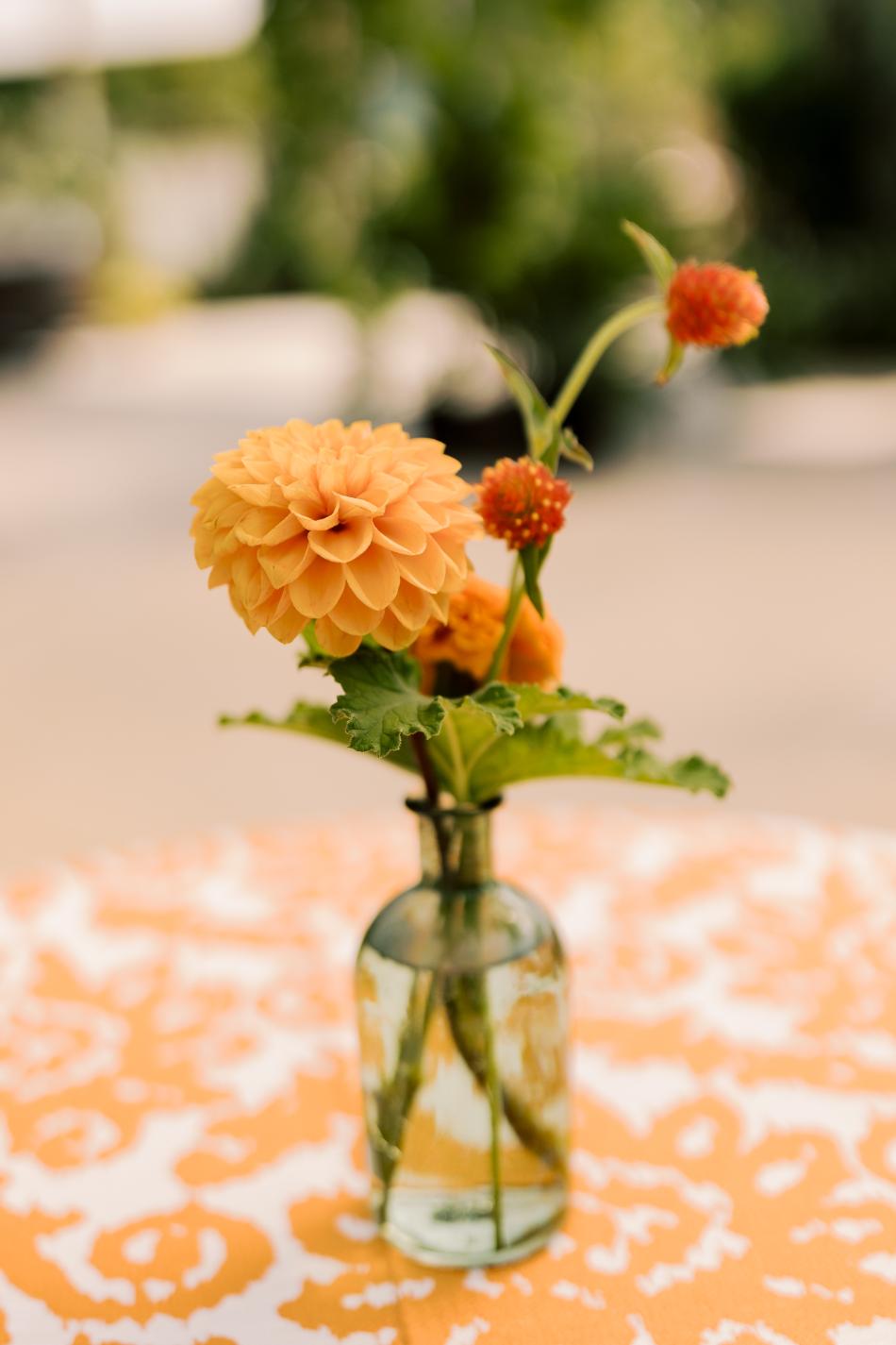 Certified American Grown Flowers Field to Vase Dinner Michigan 2024 ...