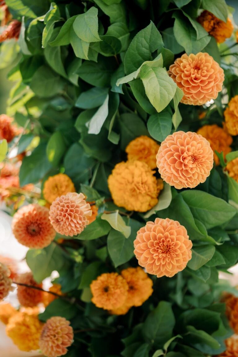 Certified American Grown Flowers Field to Vase Dinner Michigan 2024 ...
